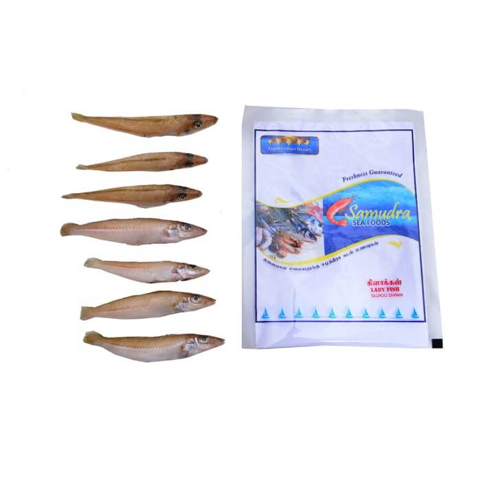 Samudra - Lady Fish (Killakan) - 600g – Koodai